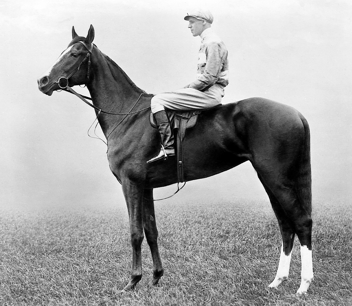 Fifinella - winner of both the Derby and Oaks in 1916 - Michael Church ...
